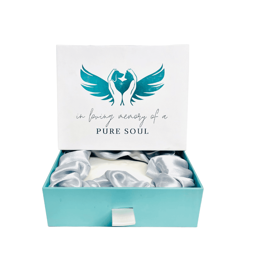 Cat Memories Box - Pure Souls